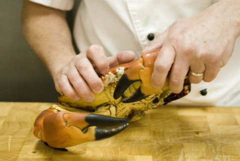 How to prepare cooked crab - Discover Seafood