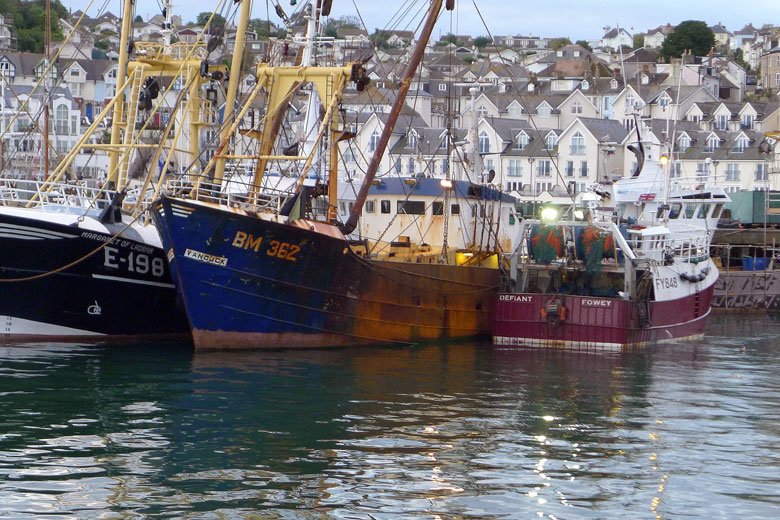 Brixham Beam Trawlers - The Best Picture Of Beam