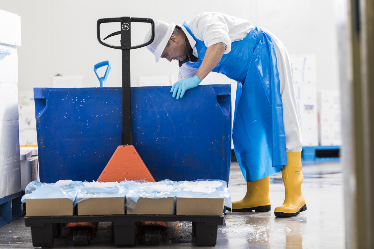 Master Fishmonger Standard - Discover Seafood