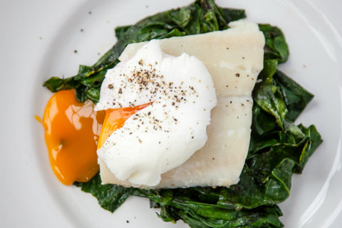 Smoked haddock with a poached egg - Discover Seafood
