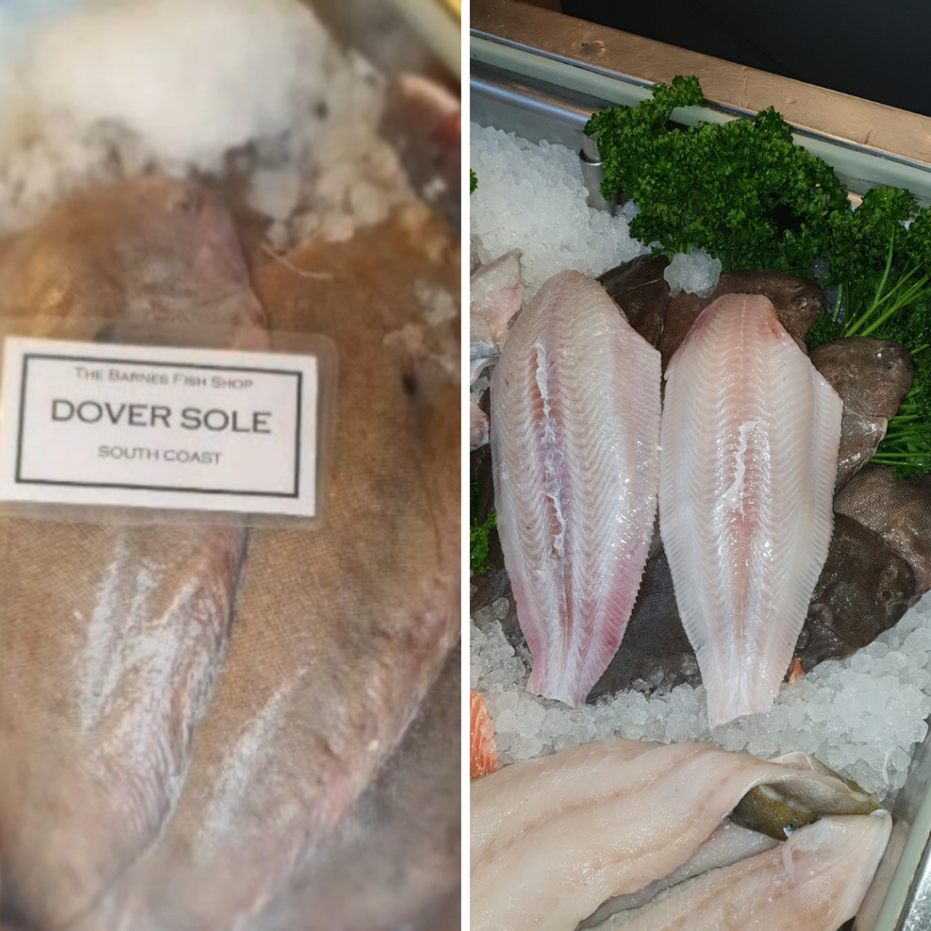 The sole Barnes Fish Shop - Discover Seafood